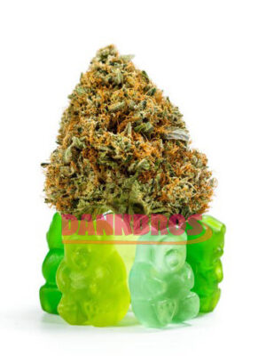 Buying Cannabis in Ontario: OCS Online Dispensary Guide